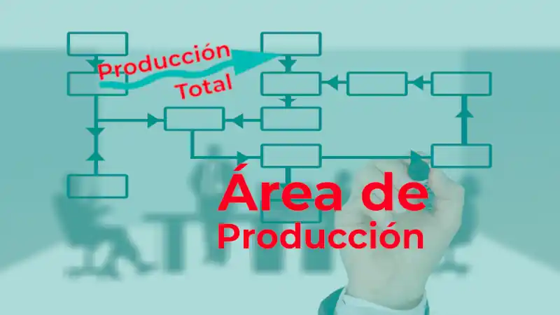Área de Producción 】 Claves para la Eficiencia Empresarial